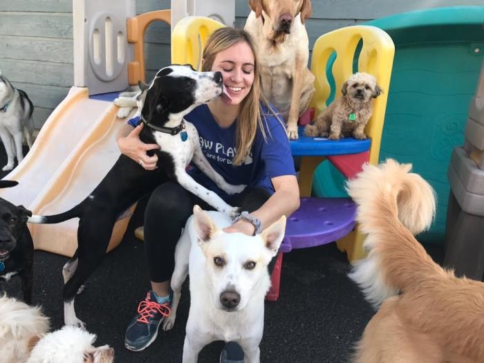 6 Reasons for Doggy Daycare - Paw Play Daycare For Dogs